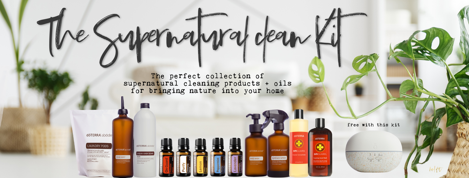 Green Cleaning Kit — HOL:FIT