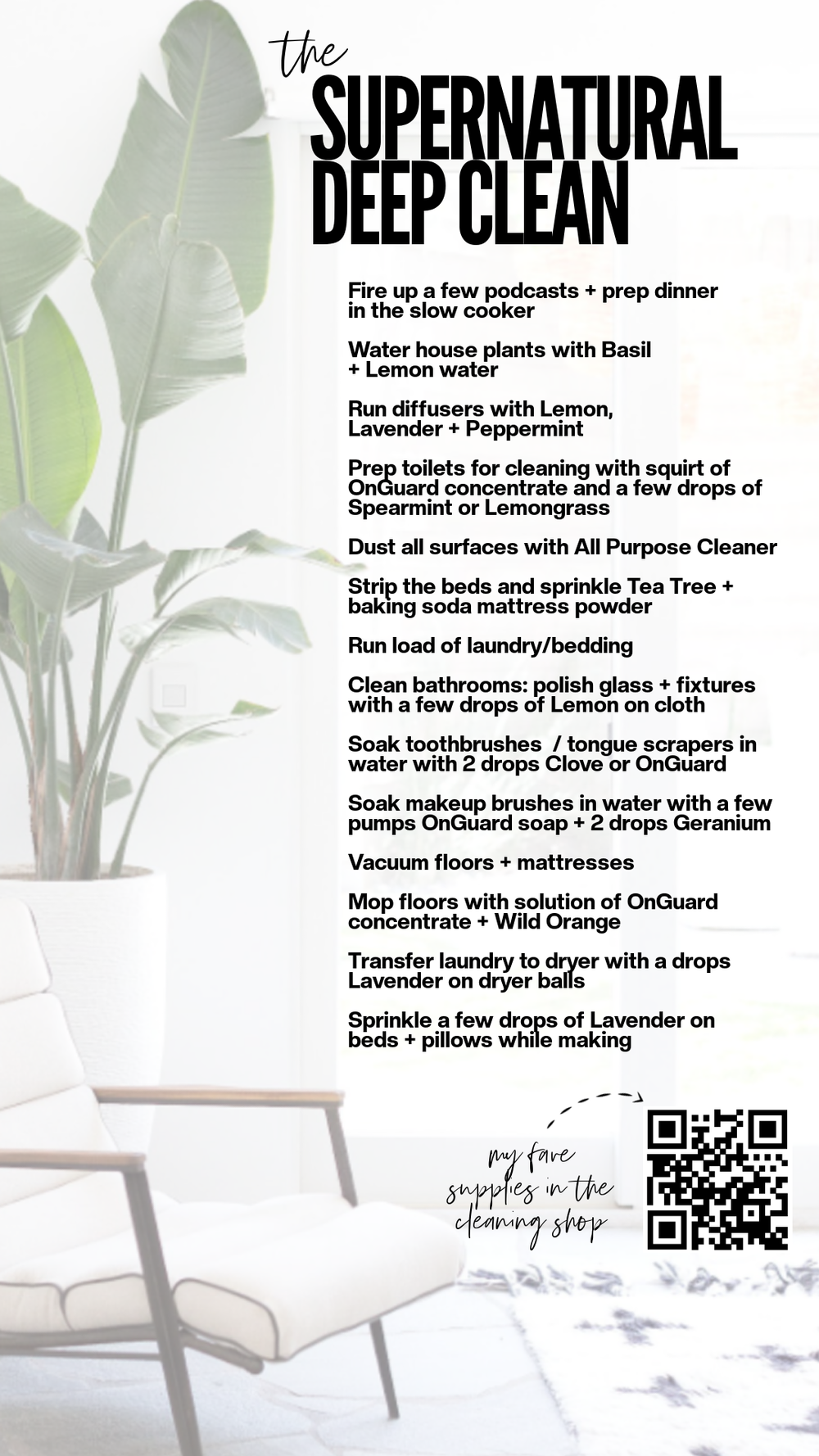 Green Cleaning Kit — HOL:FIT