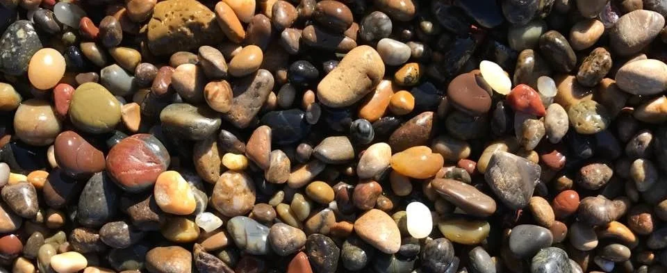 Blog — Melissa Mendes Campos