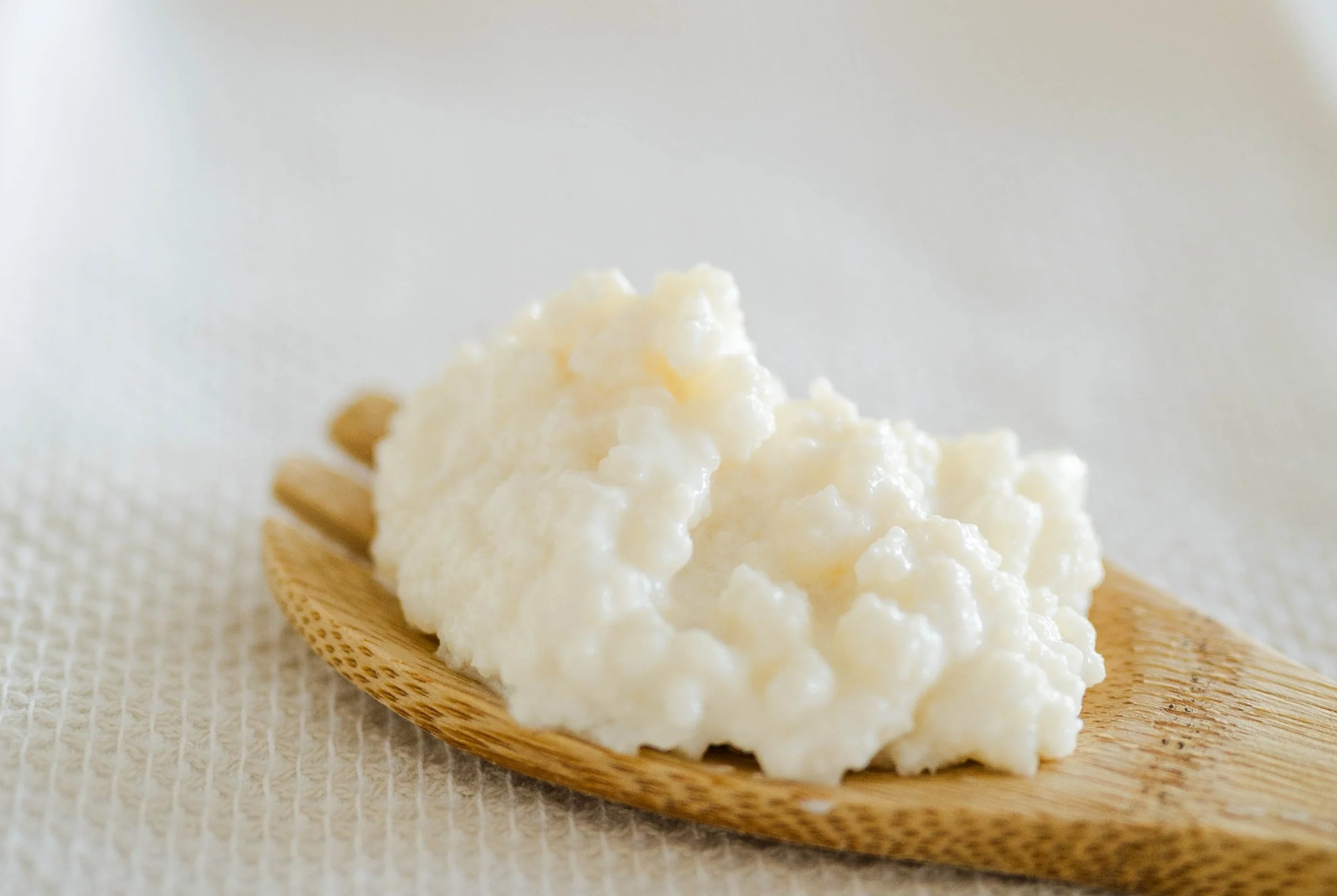 Kefir Uncovered: The Gut-Boosting Secret You Need to Thrive — Live ...