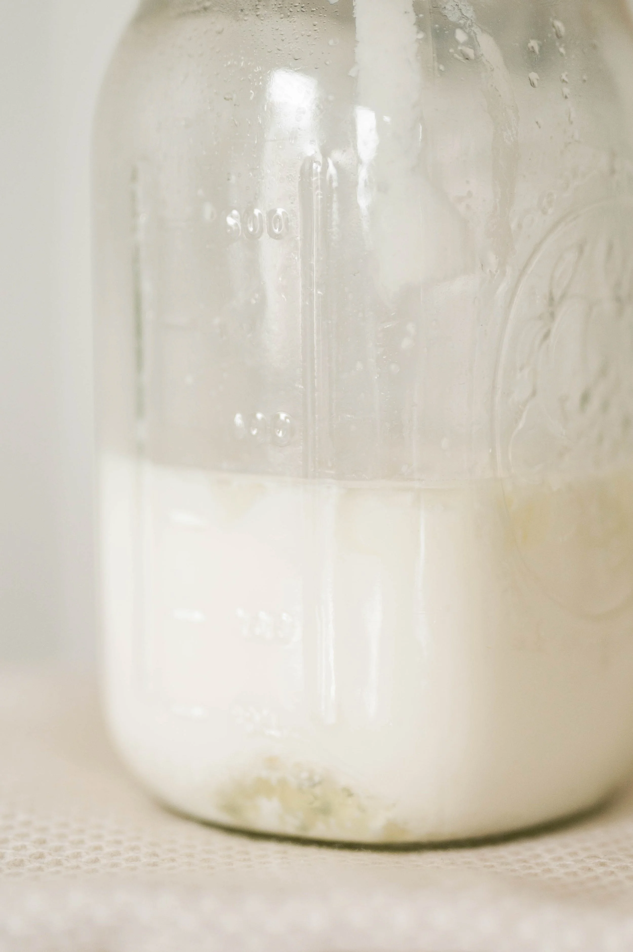 Master the Art of Making Kefir at Home: A Beginner's Guide to Kefir ...