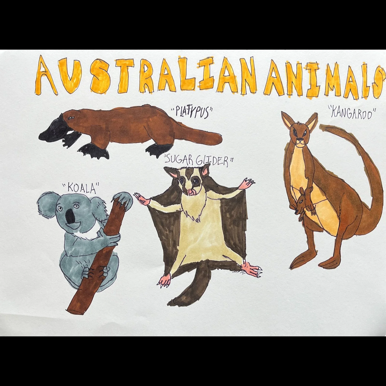 James Roll - Australian Animals one-of-a-kind Posters — ArtWorking