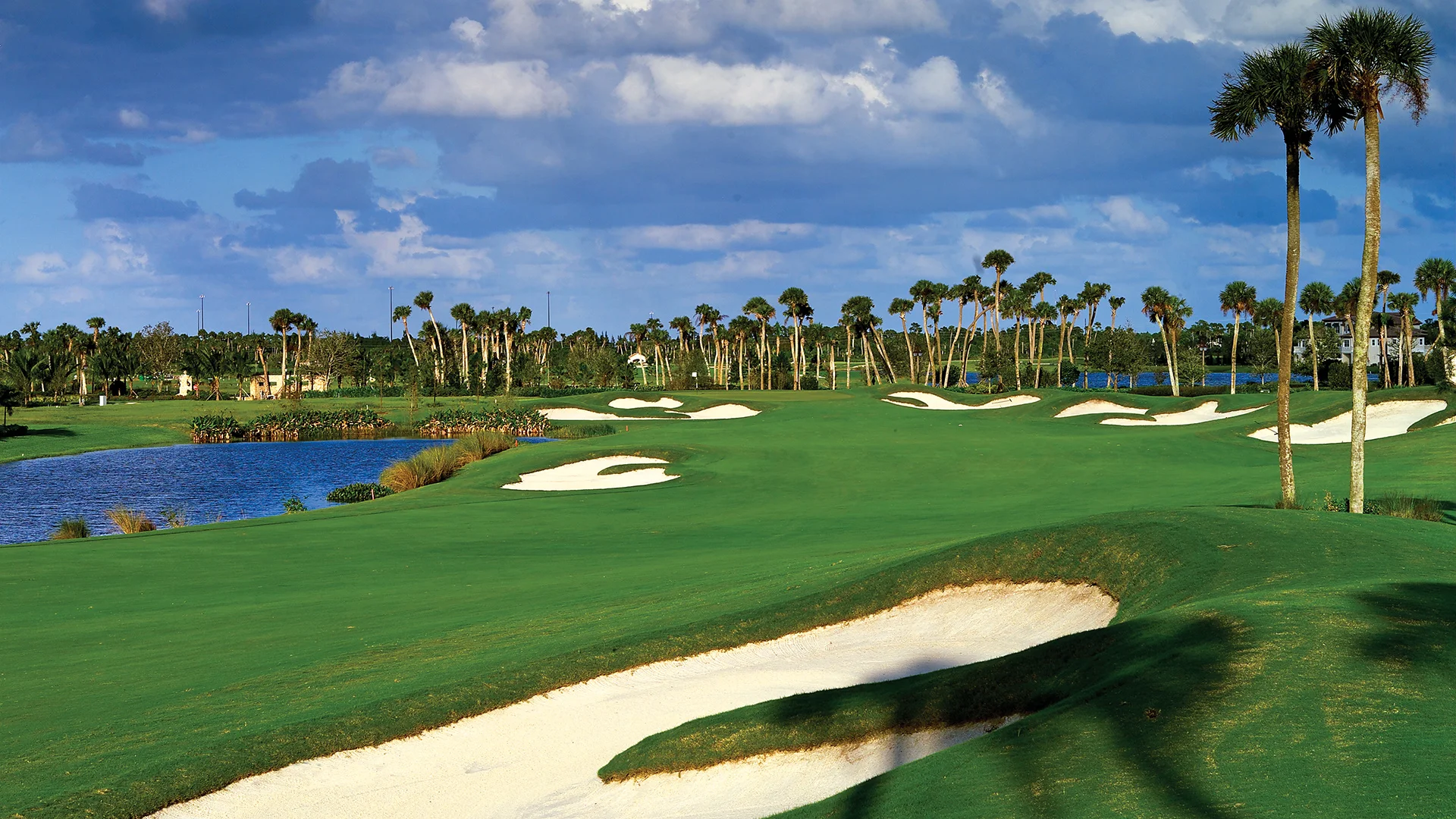 7 Reasons Why the World's Top Athletes Call Jupiter Home — Meyer Lucas ...