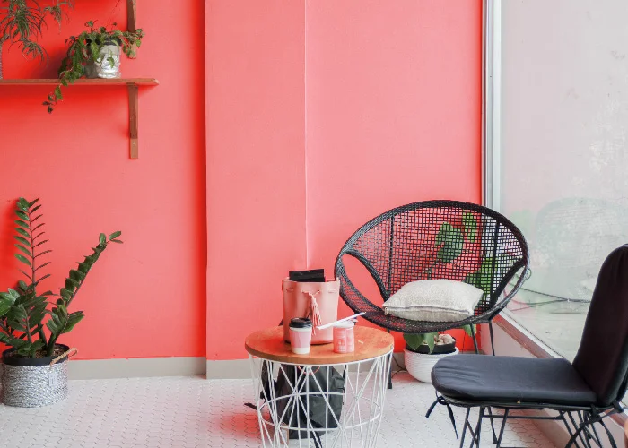Coral Color Paint