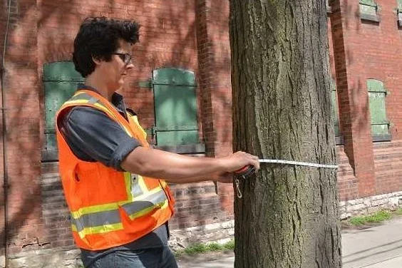 Who We Are — Halifax Tree Project