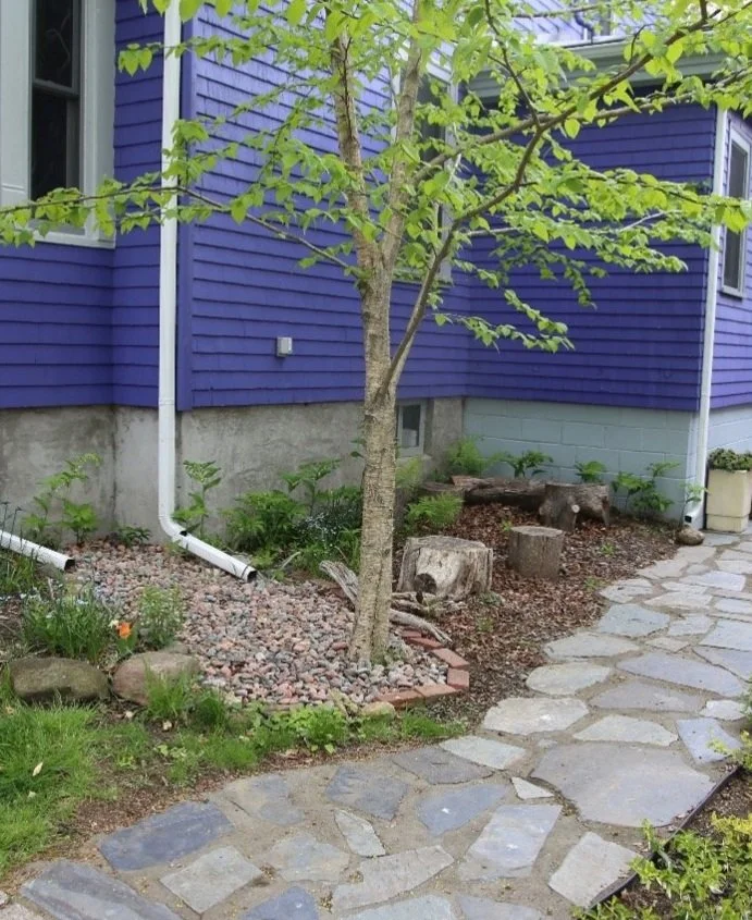 So, You Want to Plant a Tree! — Halifax Tree Project