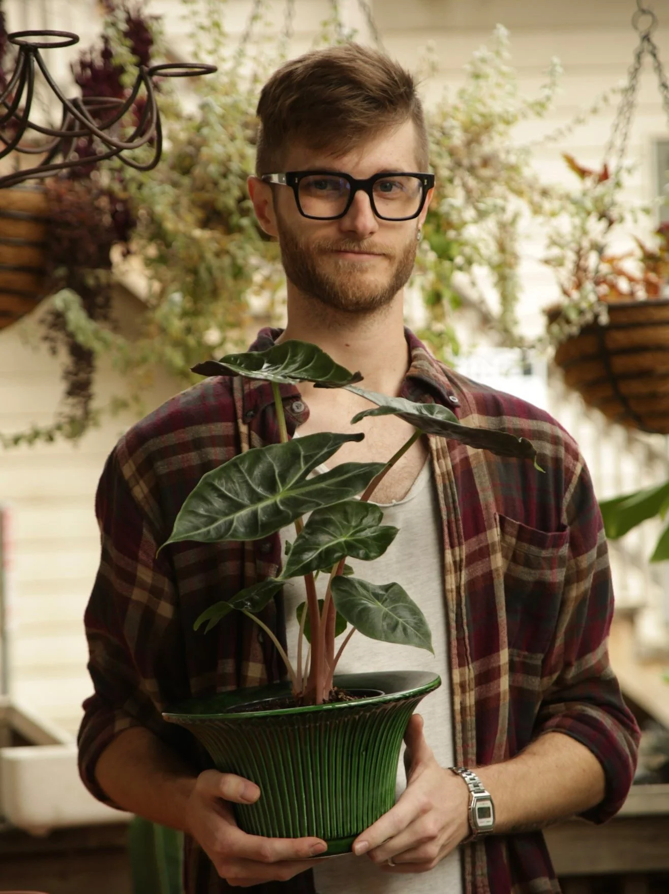 Cultivate Urban Rainforest & Gallery