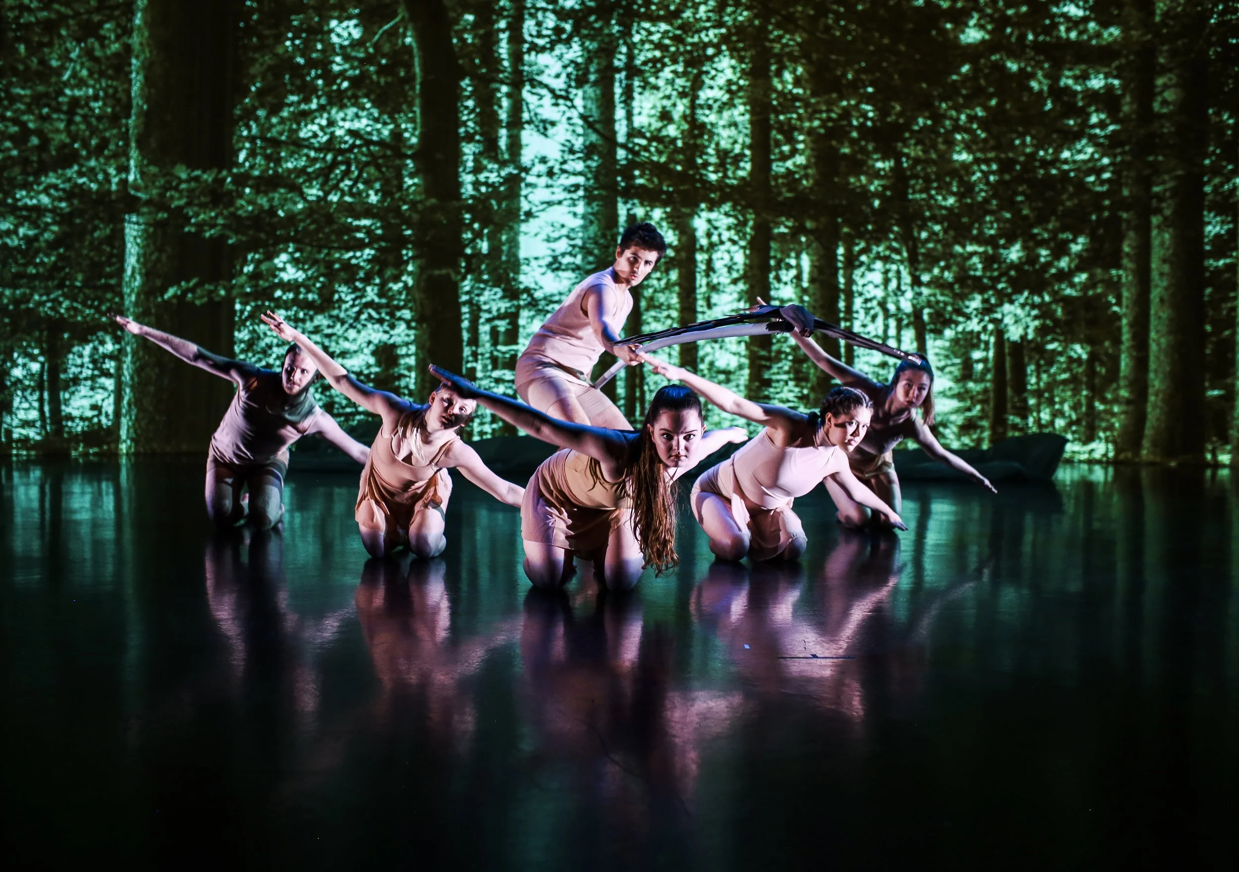 News — Cole P. Abod - Musician