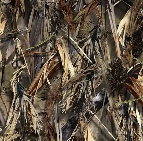 Realtree Max 5 Wallpaper