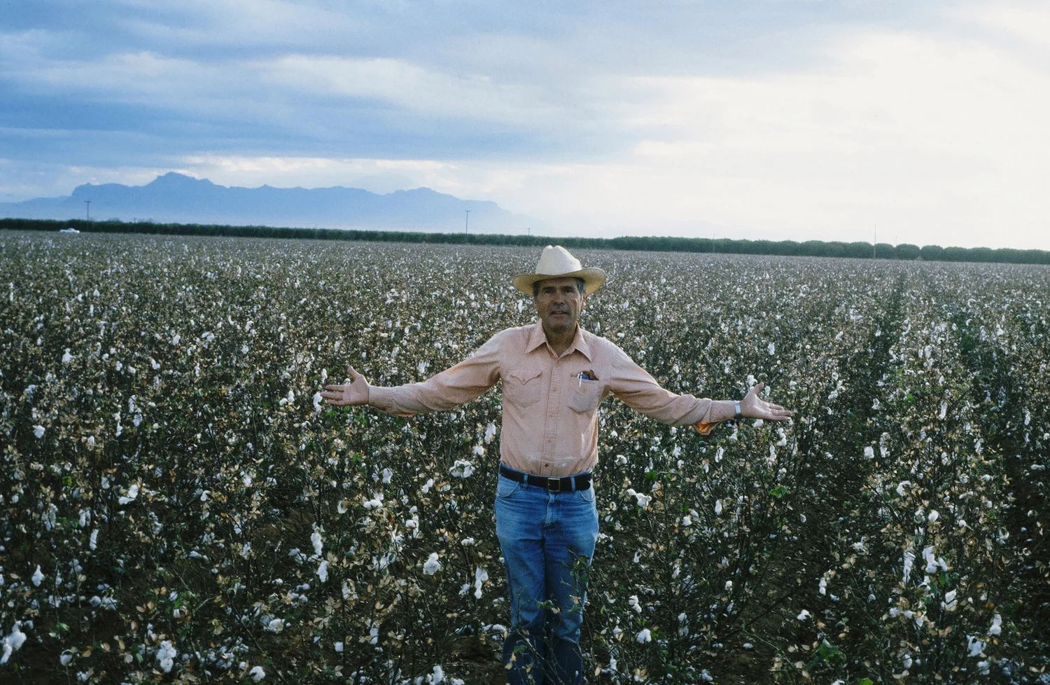 Gilbert, Arizona History — Agritopia Farm
