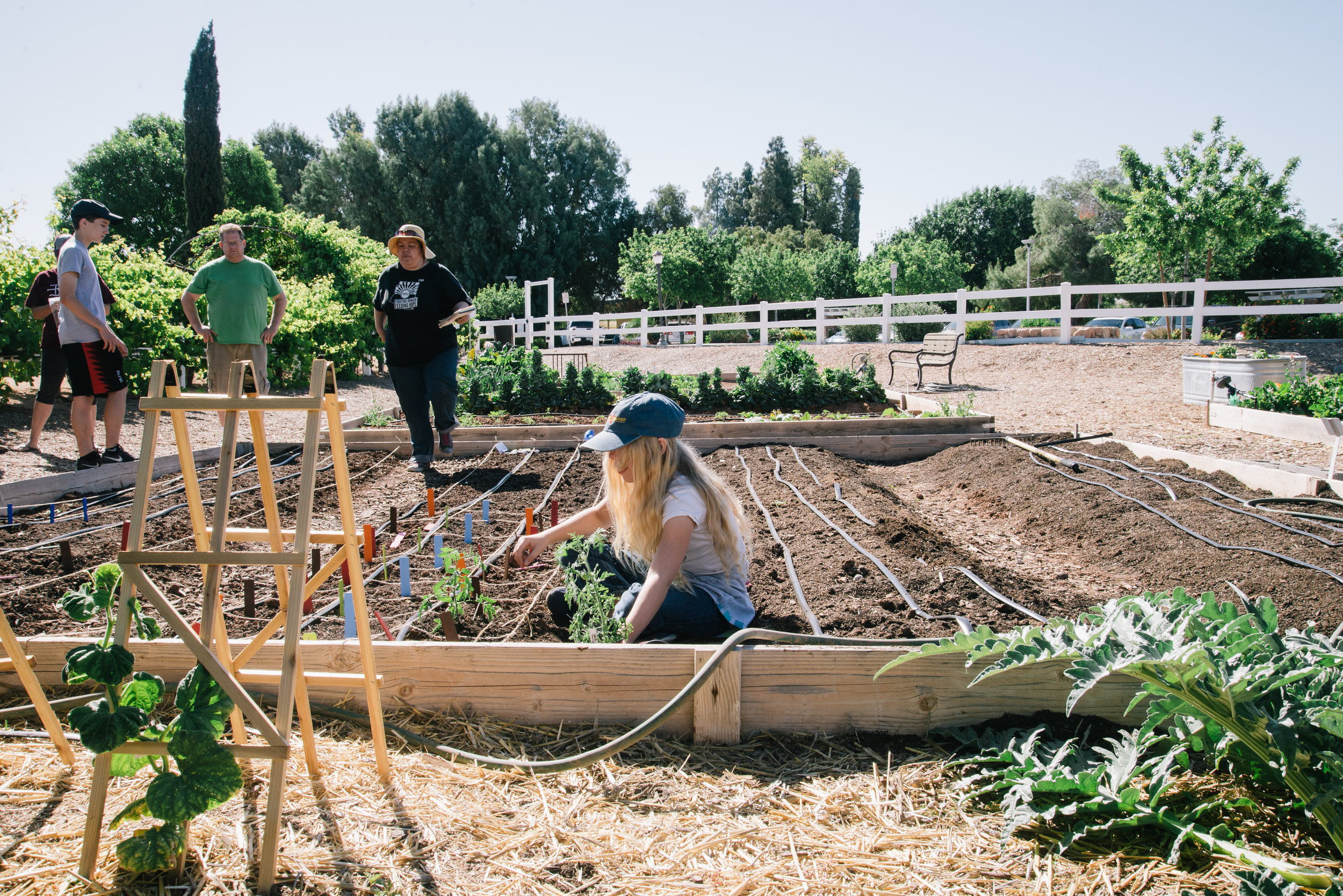 Arizona Community Garden — Agritopia Farm