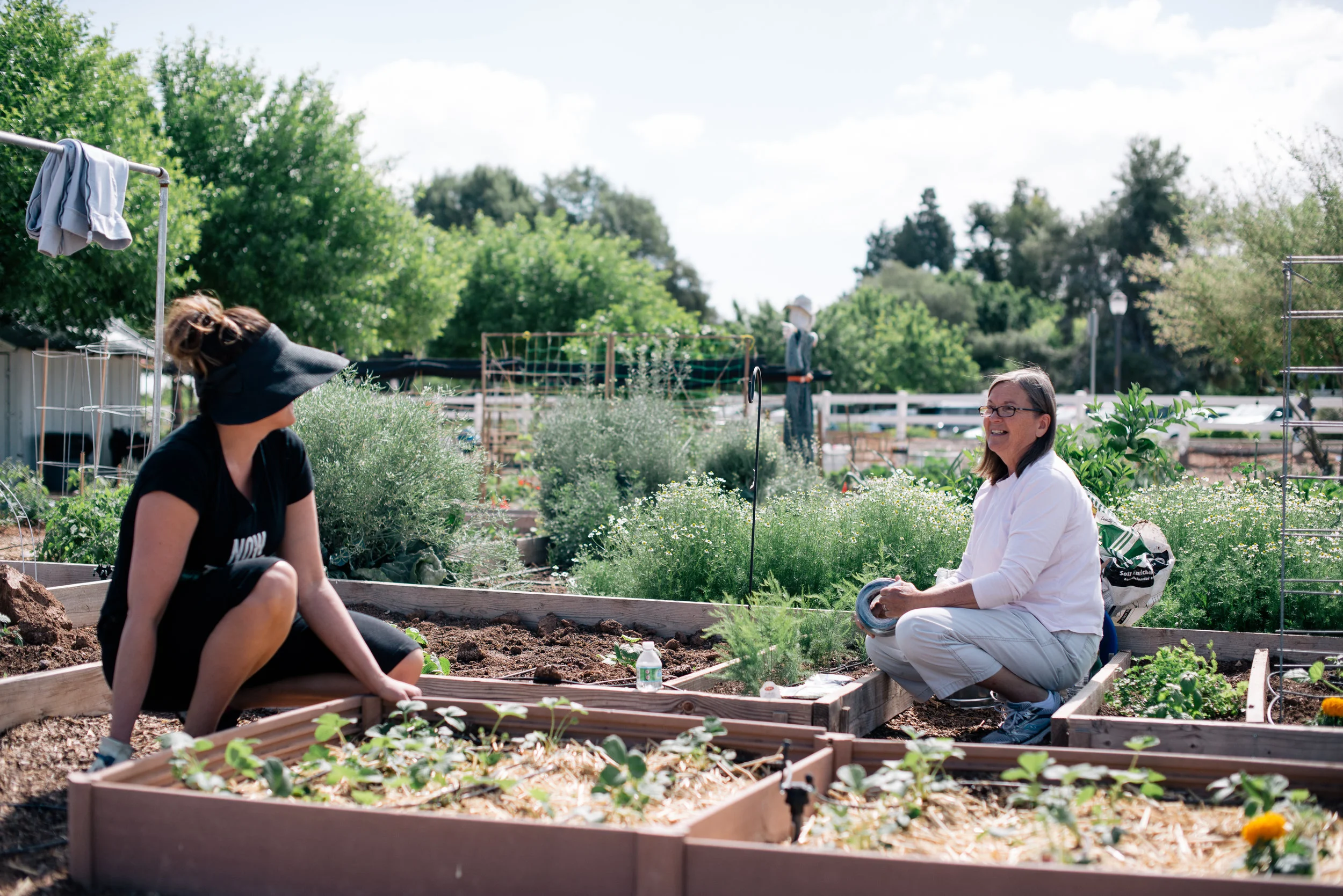 Arizona Community Garden — Agritopia Farm