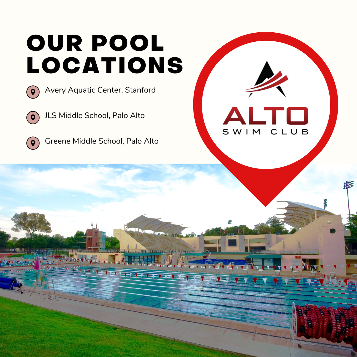 Welcome to our New Alto Swimmers — Alto Swim Club