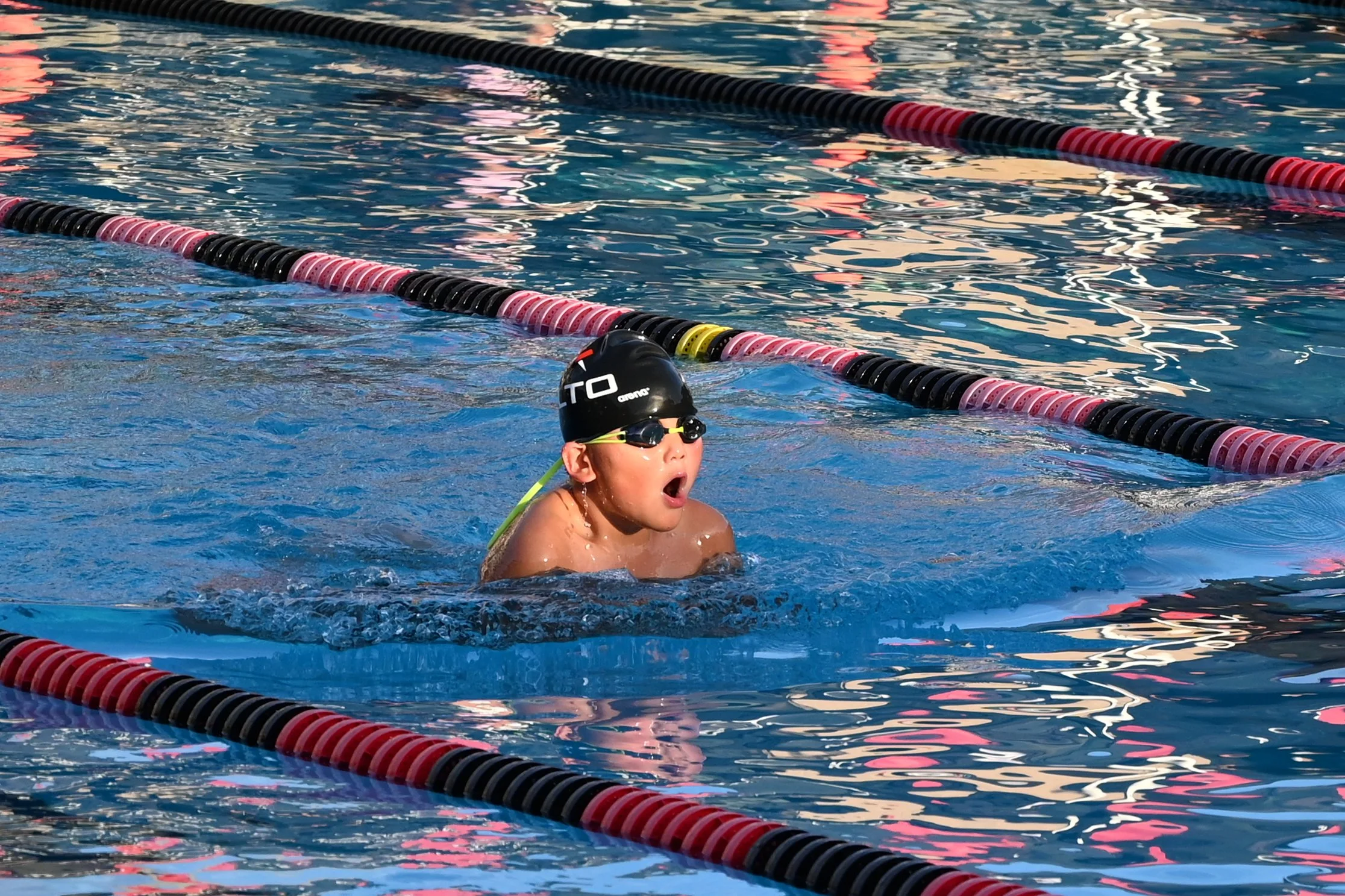 BAC-k in Action at the BAC Meet — Alto Swim Club