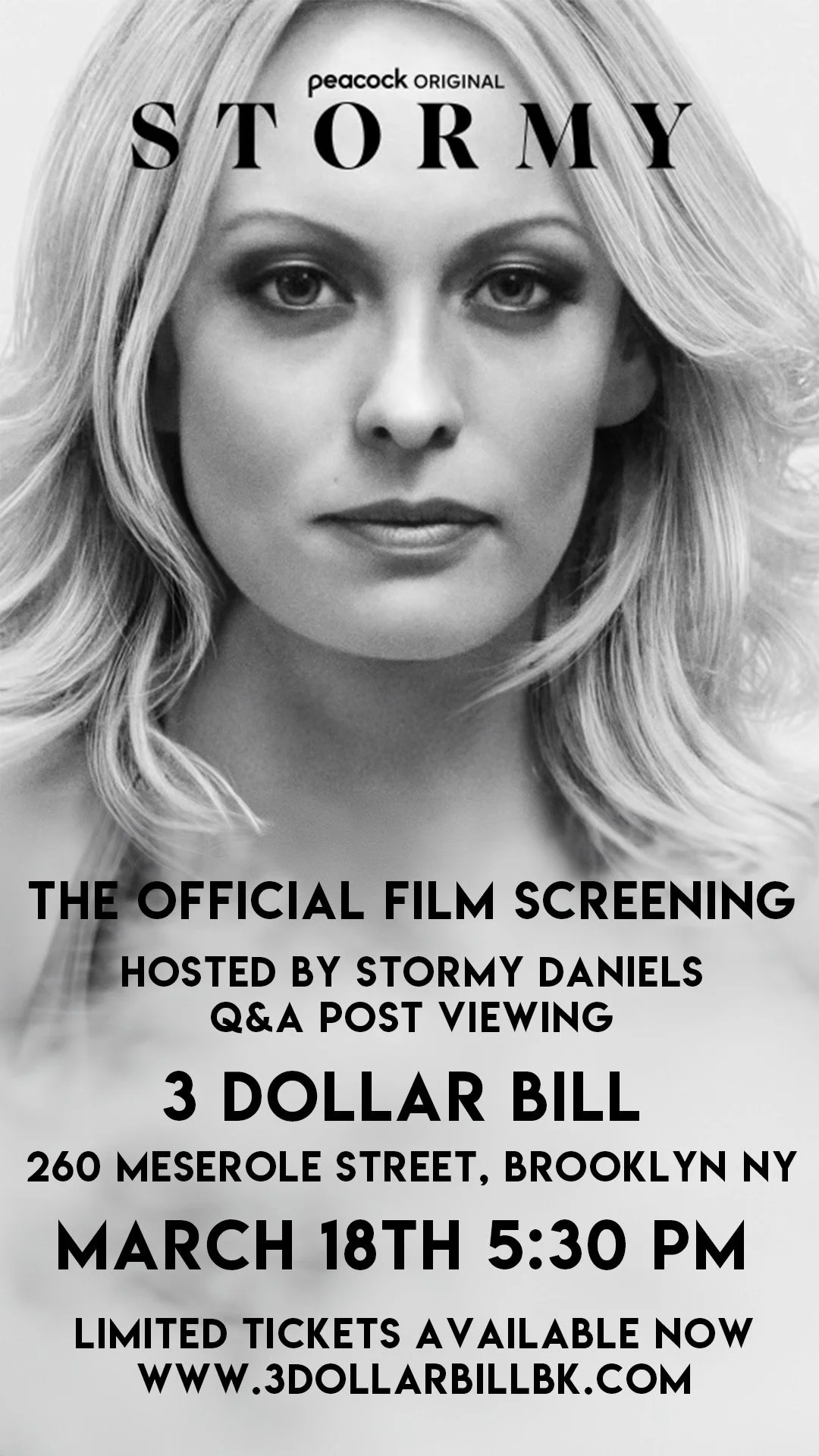 Stormy: The Official Film Screening — 3 Dollar bill
