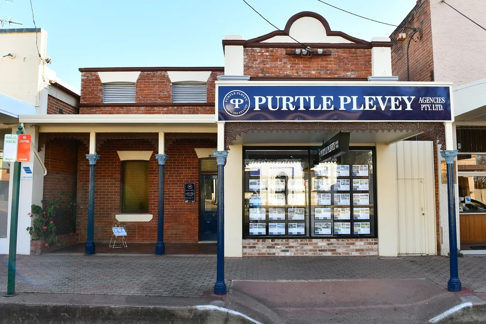 About Us — Purtle Plevey