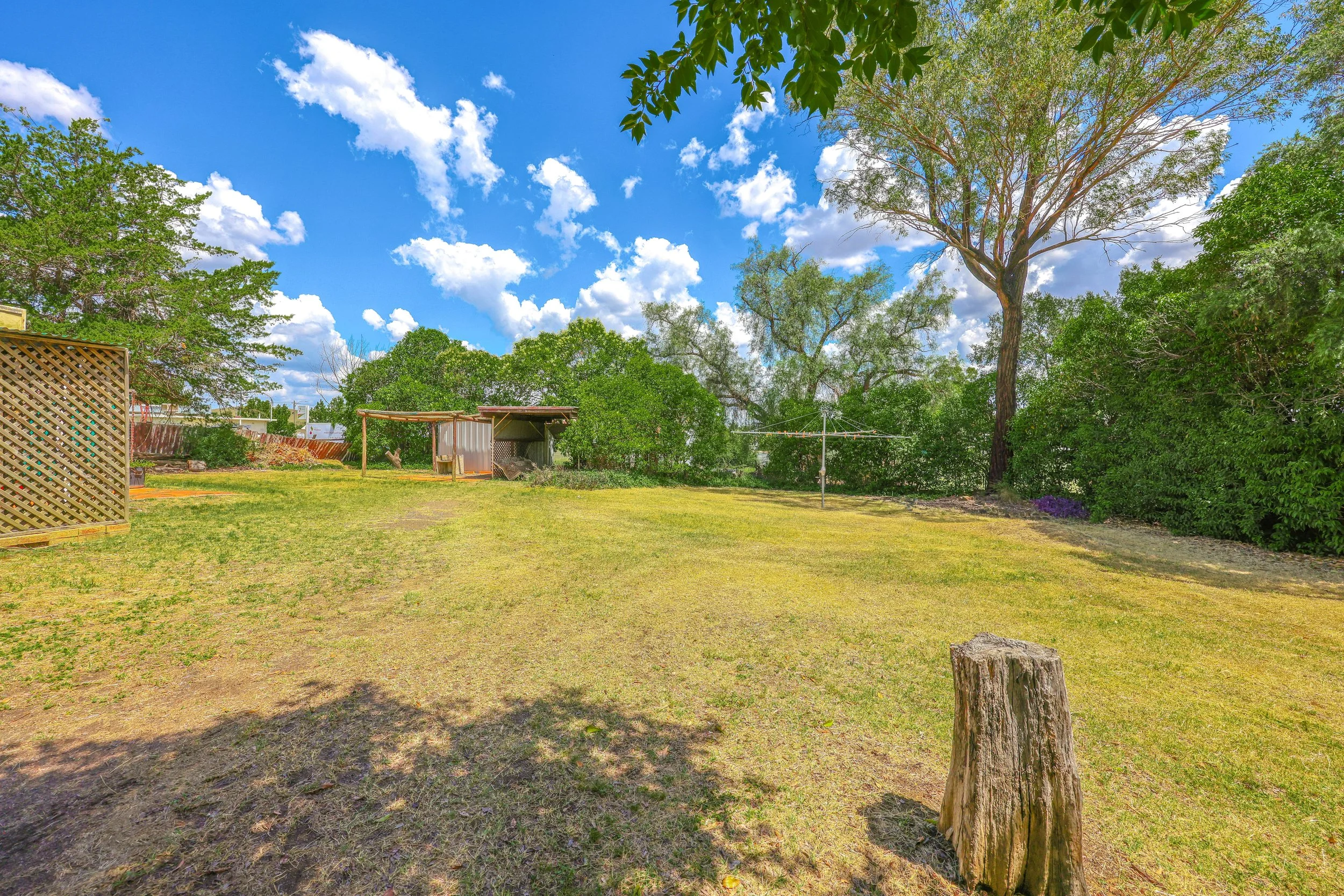 13 ALICE ST DETAILS — Purtle Plevey