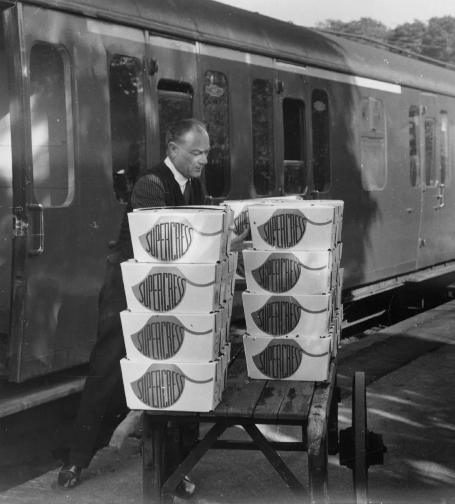 The Watercress Line — Watercress | Health, Recipes & More