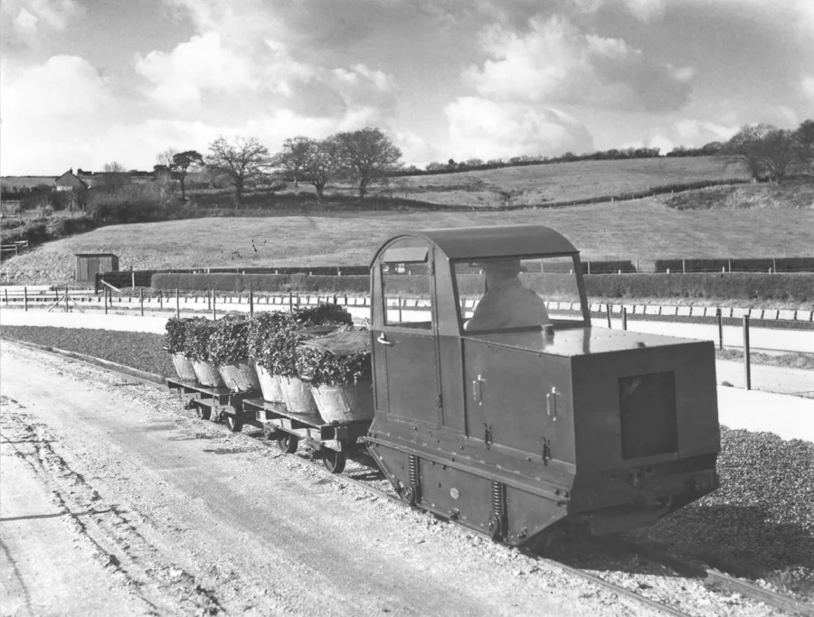 The Watercress Line — Watercress | Health, Recipes & More