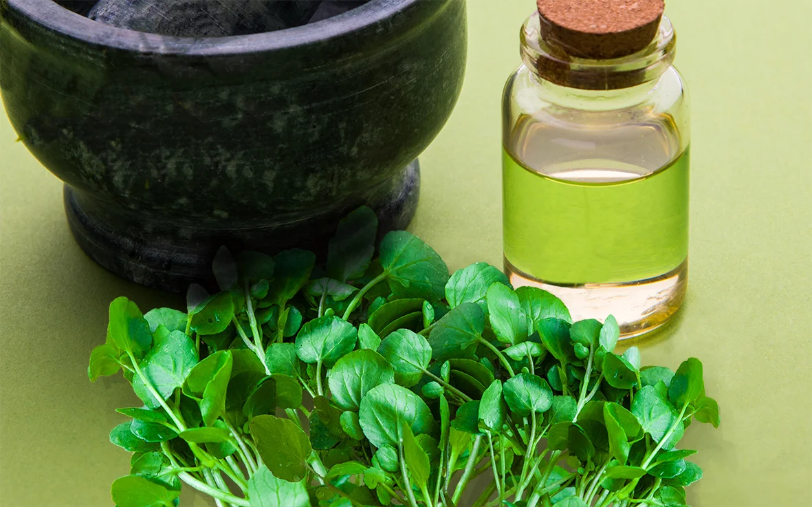 Top 10 Watercress Recipes | Watercress Recipes — Watercress | Health ...
