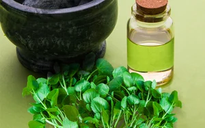 Top 10 Watercress Recipes | Watercress Recipes — Watercress | Health ...