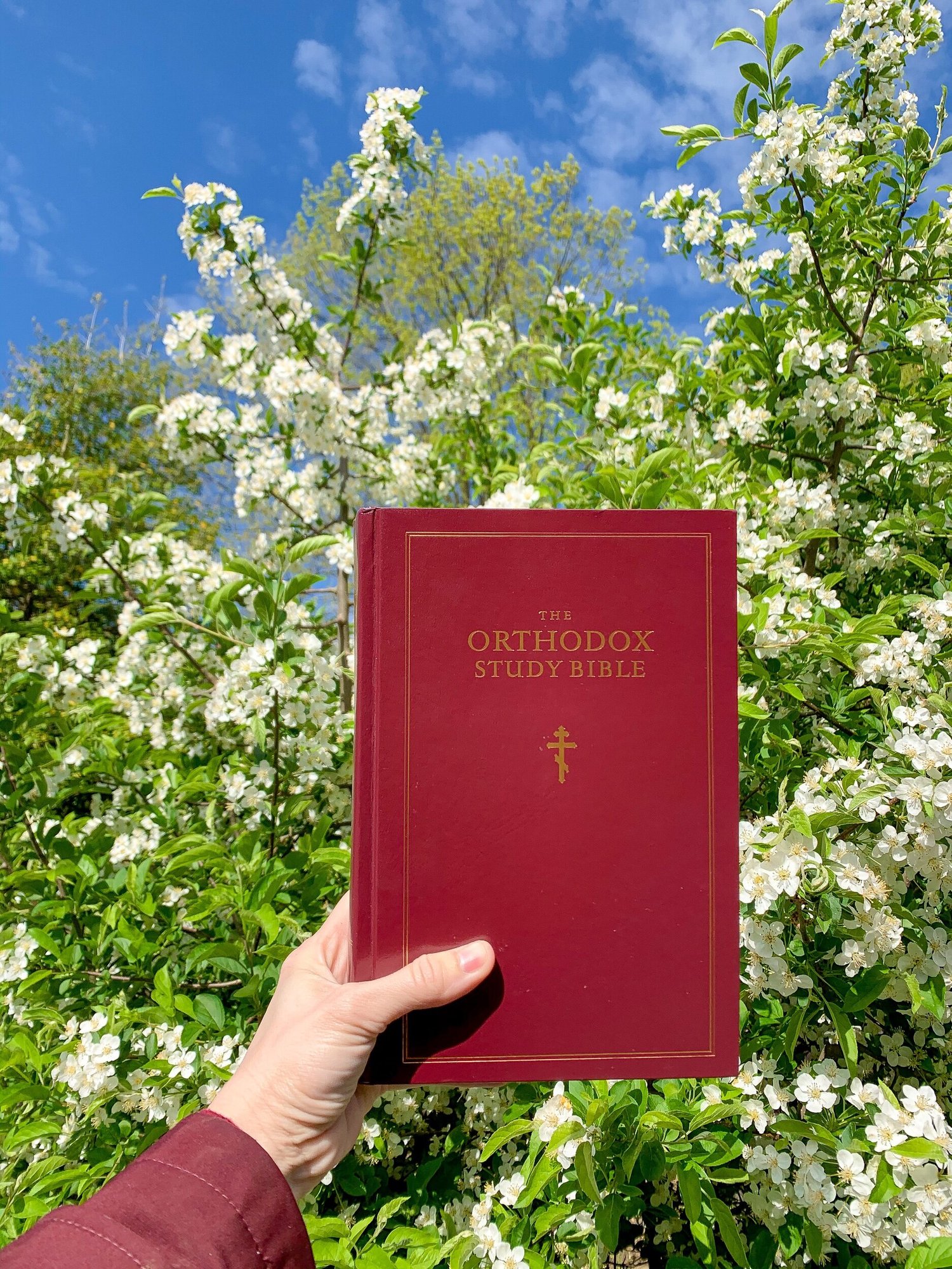 Bible Reading Challenge — Ascetic life of motherhood