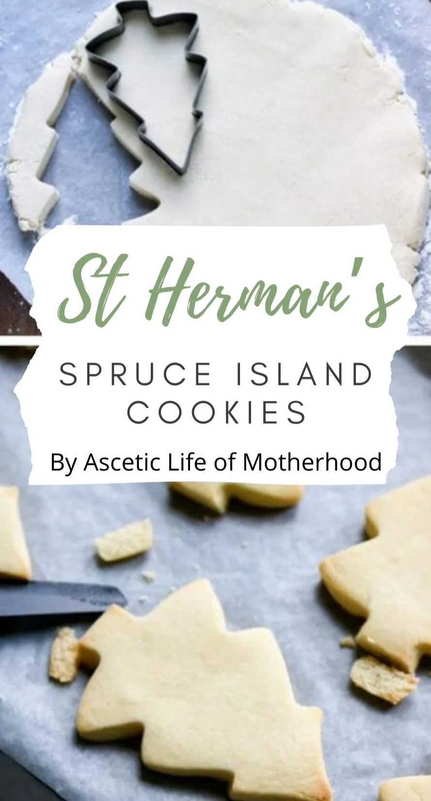 August Feast Day Guide 2021 — Ascetic life of motherhood