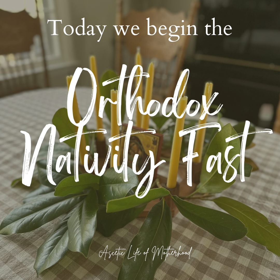 5 Things to Focus on During Nativity Fast — Ascetic life of motherhood