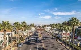 Portfolio — Encino Commons