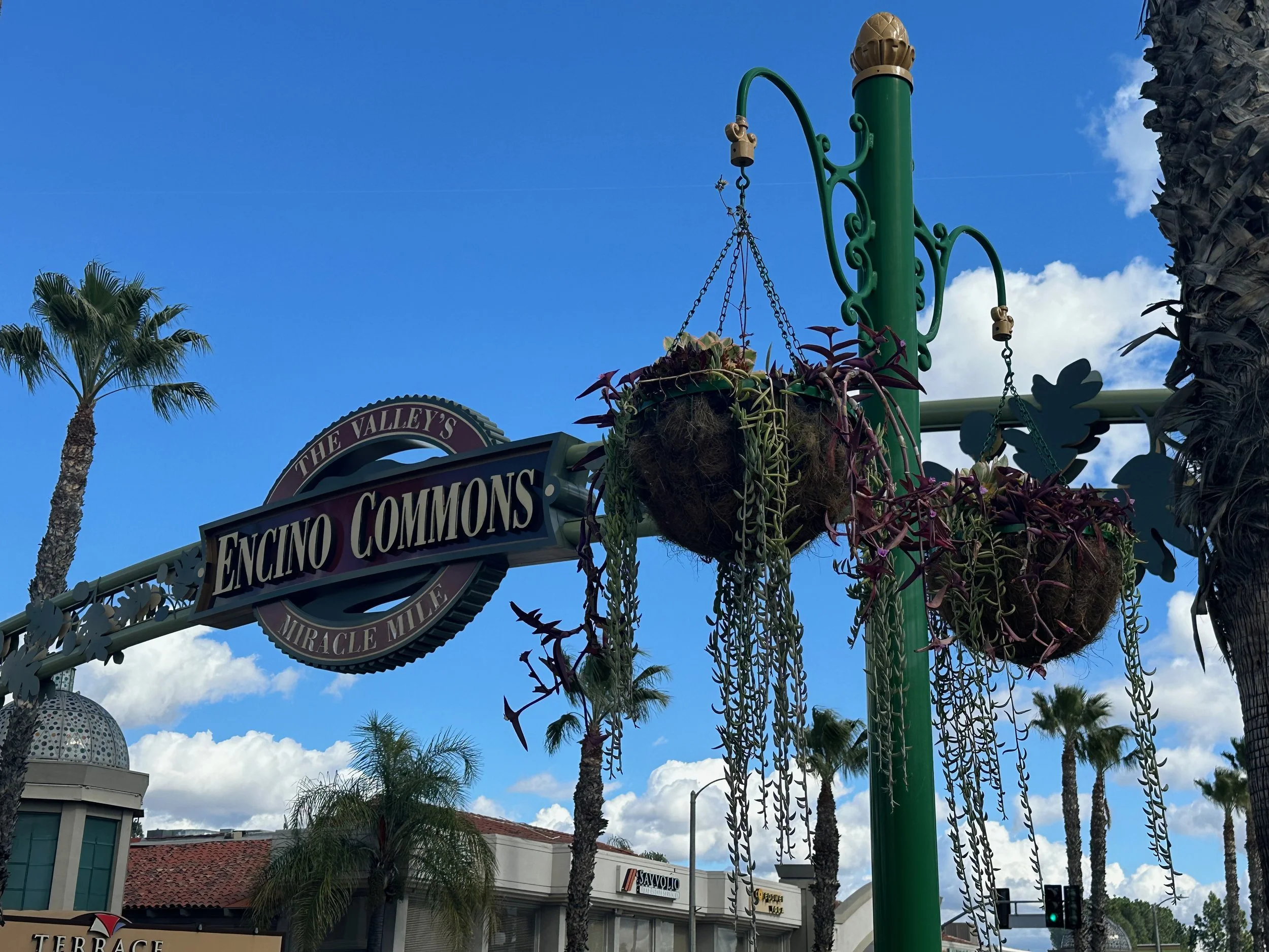 Encino Commons