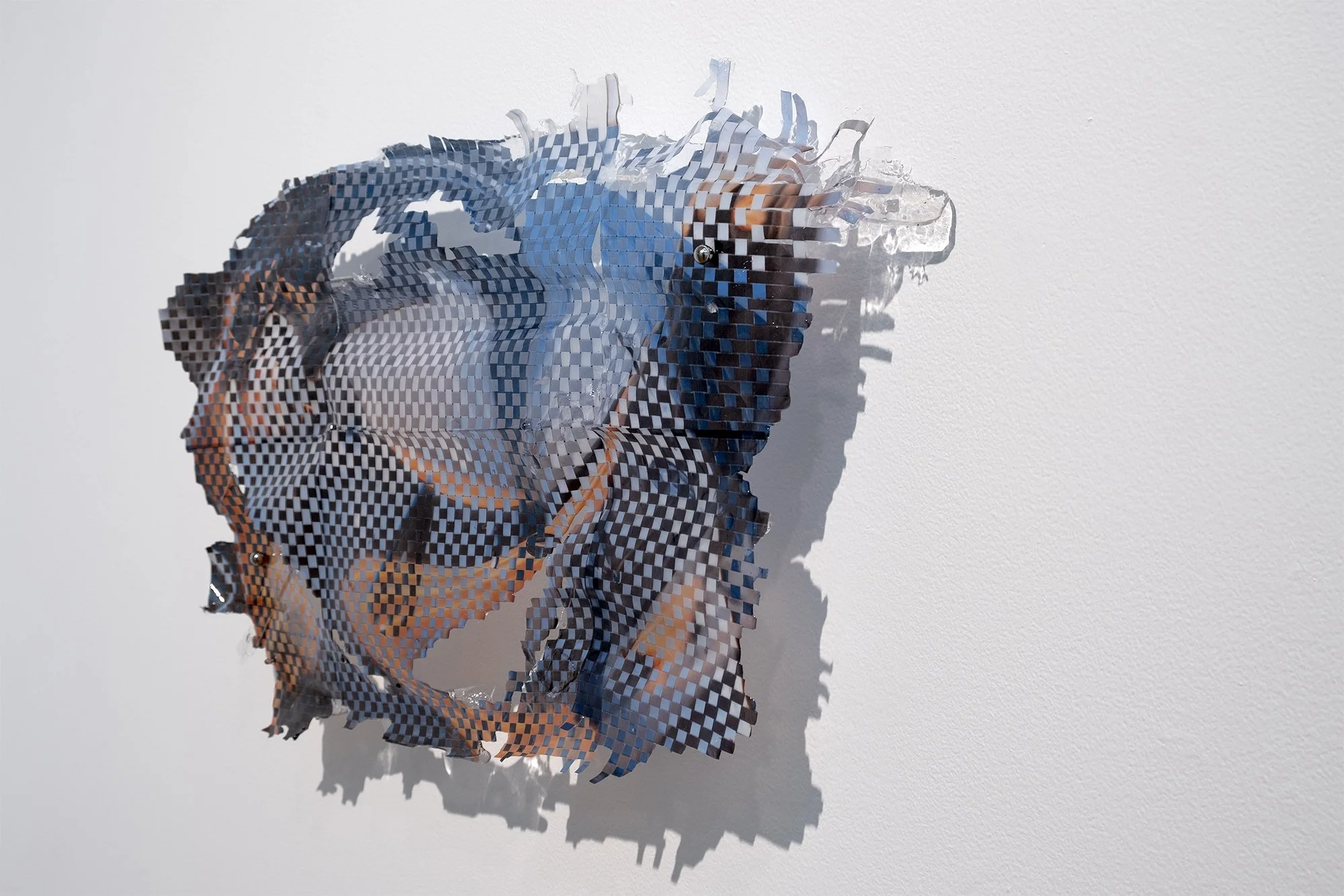 Wet Photographs (2023 - ) — Juyon Lee