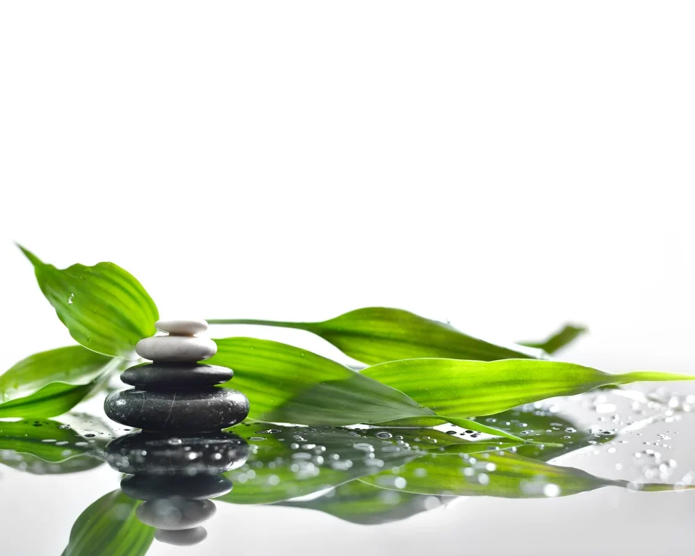 Spa Promotions Special Offers | Spa in Boksburg — Evolve Spa Group