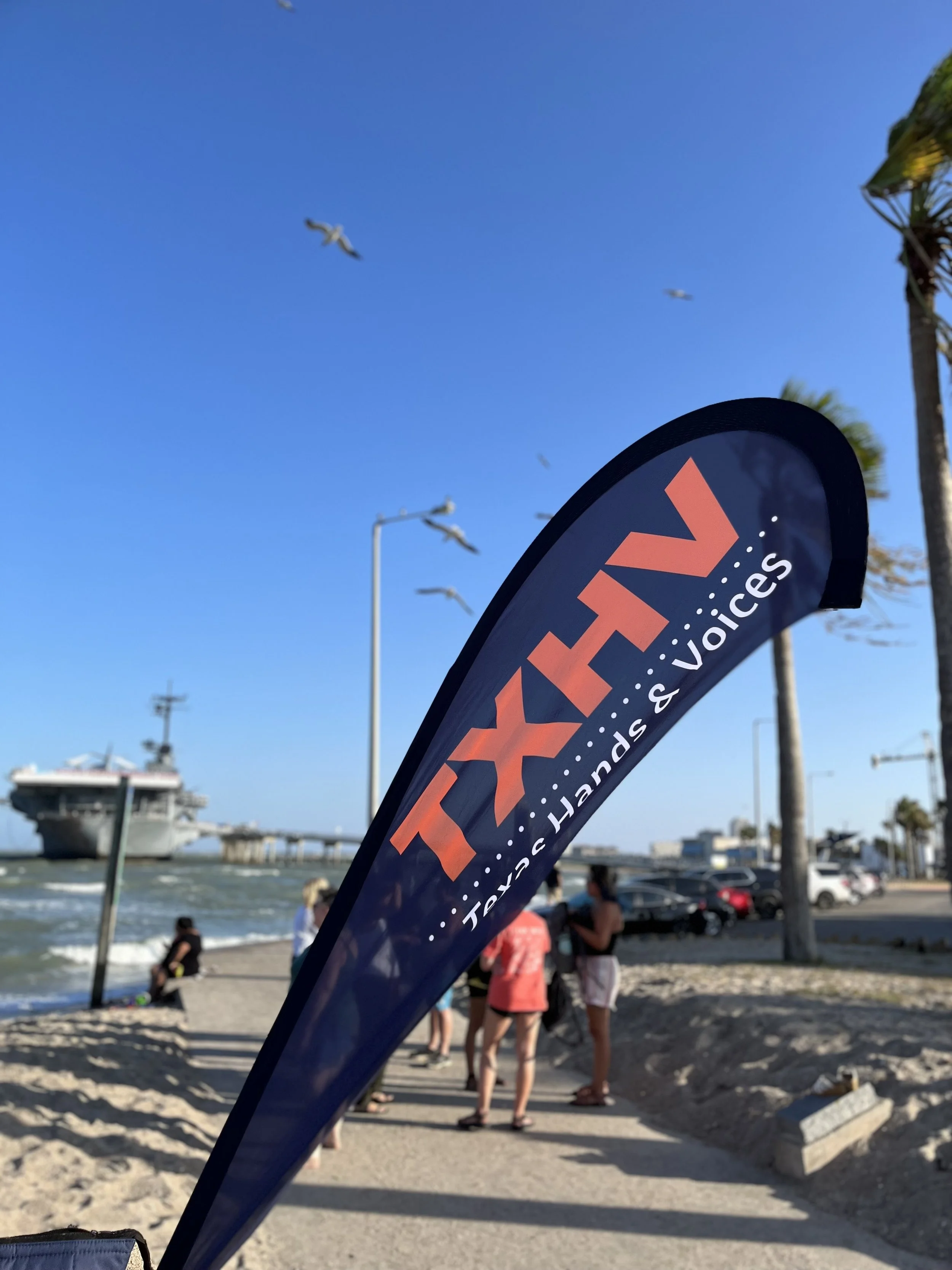 Guide By Your Side — Texas Hands & Voices™