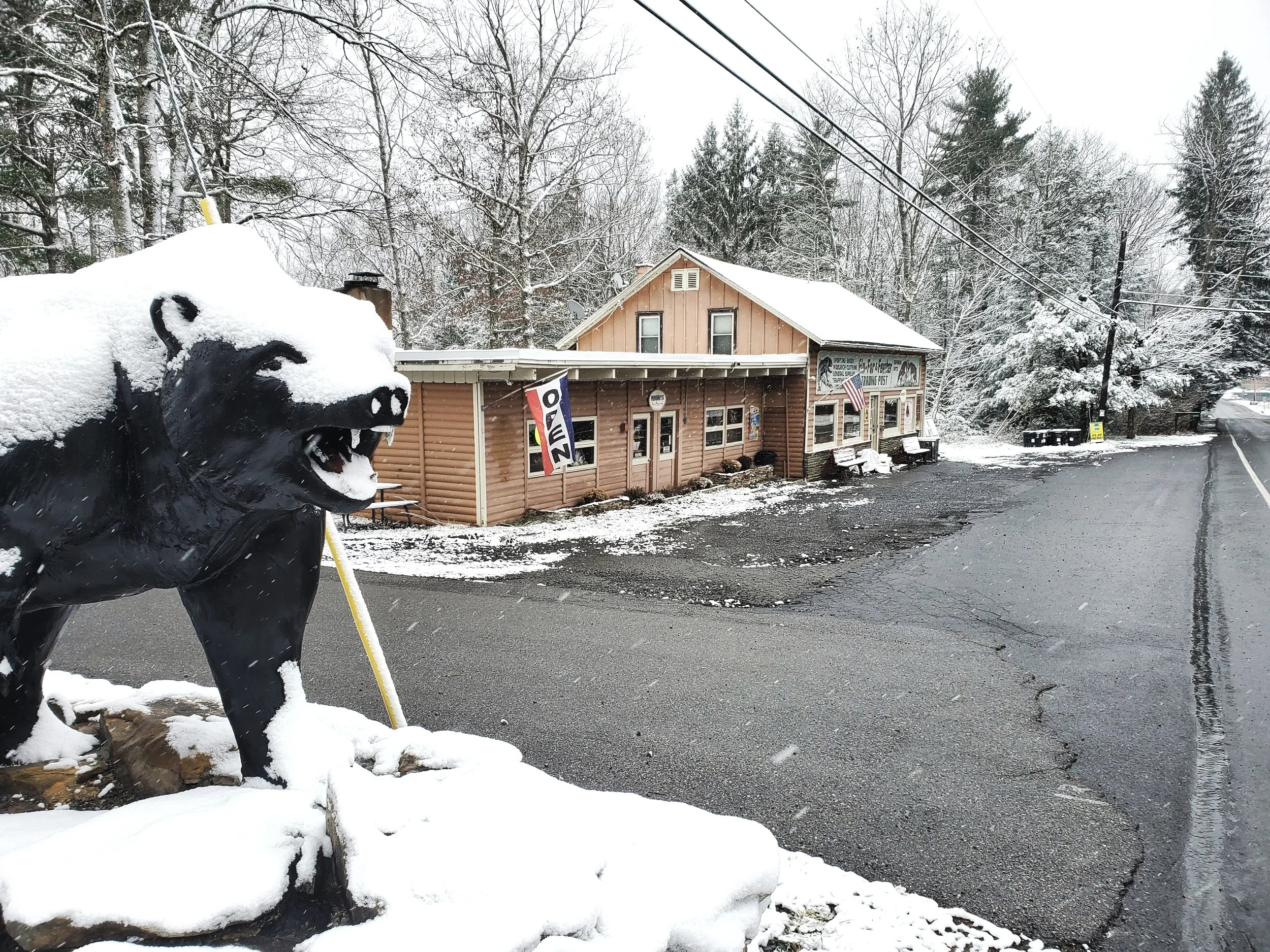 Fin, Fur and Feather by Parks