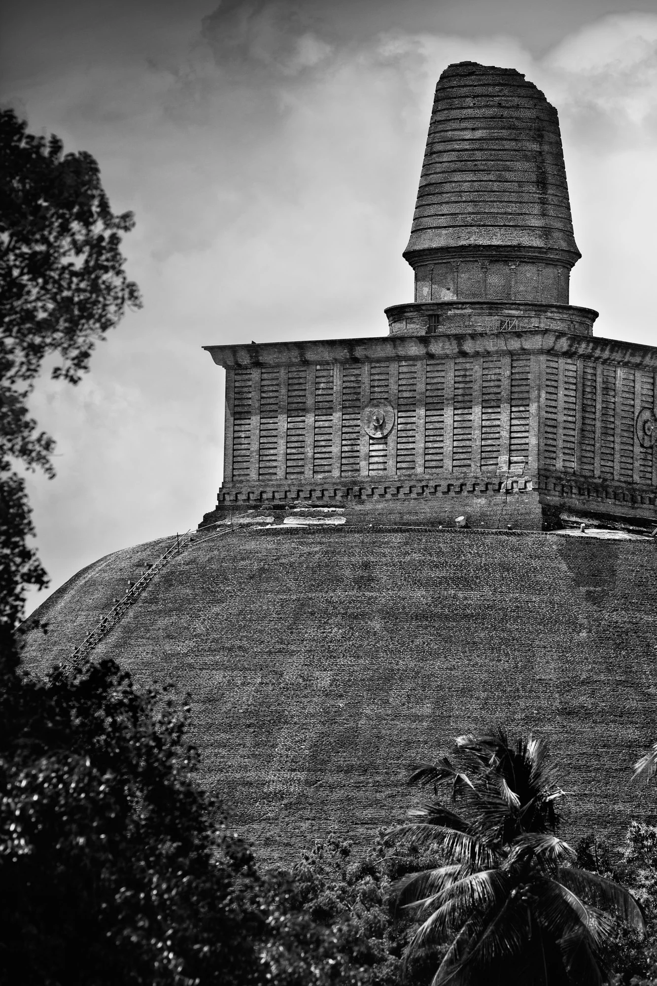 Sandun de Silva Photography