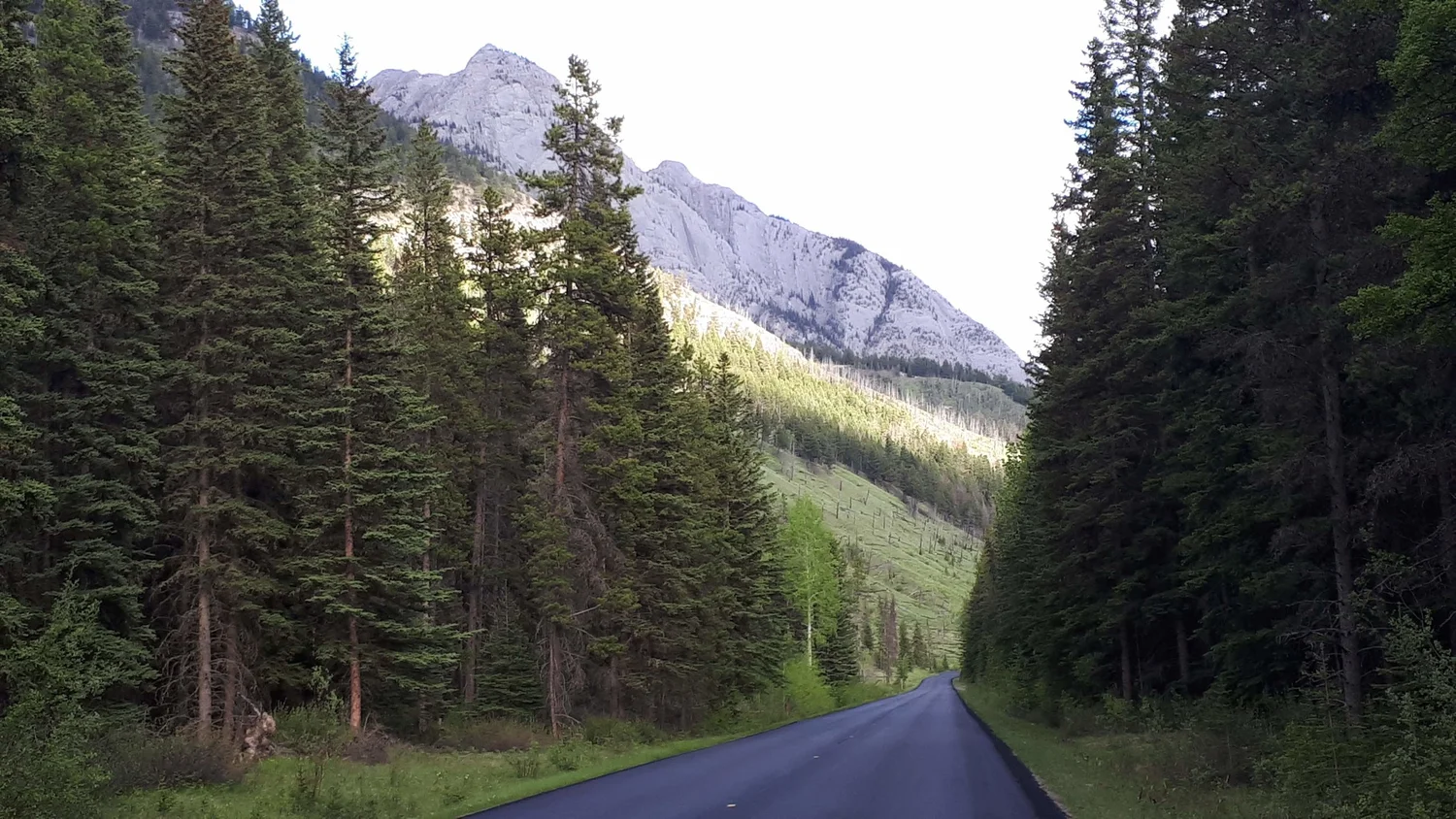 Bow Valley Parkway to Johnston Canyon | Banff Cycle & Sport
