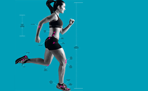 The Whole Body Fix — Pinnacle Physical Therapy
