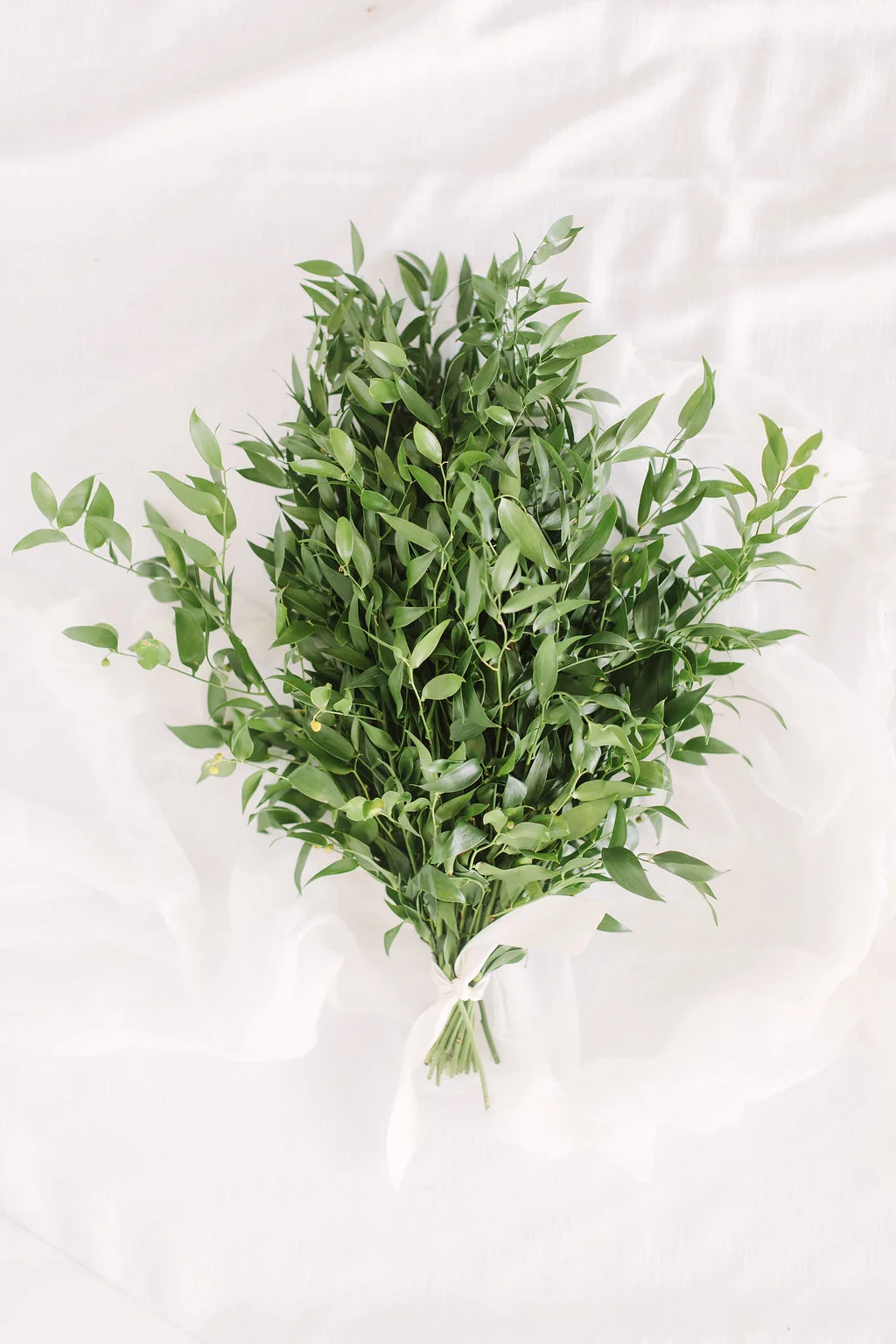 All Collections — Collections Floral Design Studio