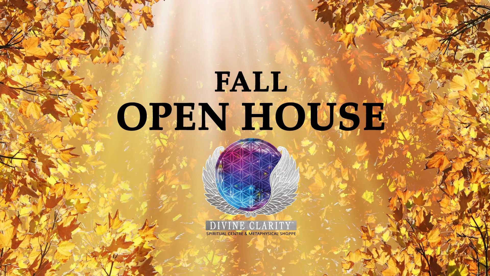 Divine Clarity-Events