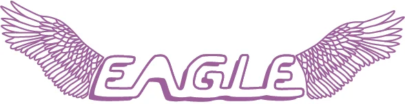 DJ Eagle