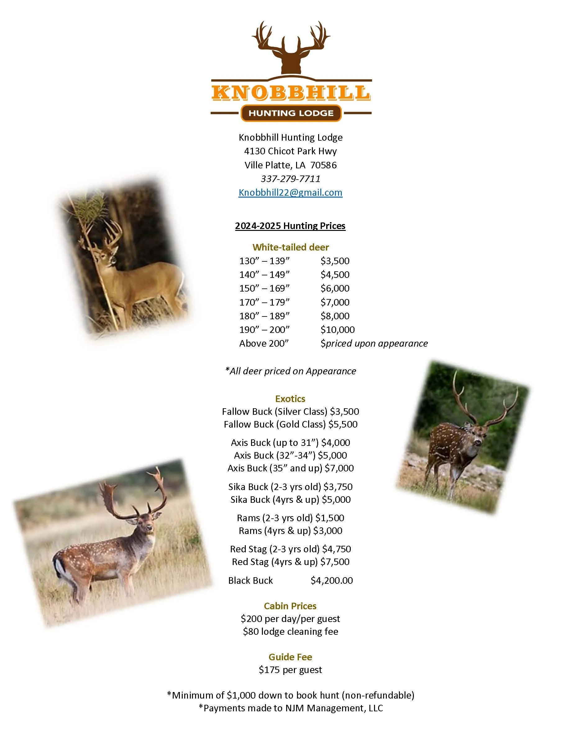 Packages — Knobbhill Hunting