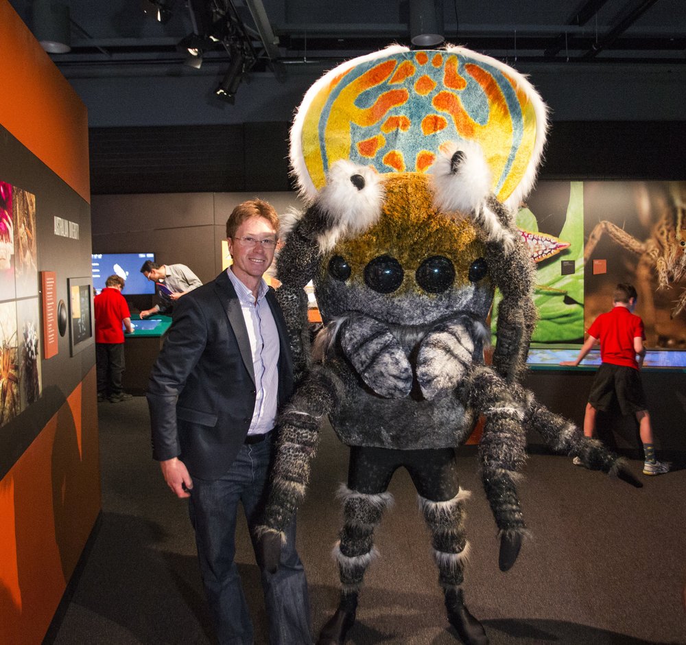 About — Peacock Spider