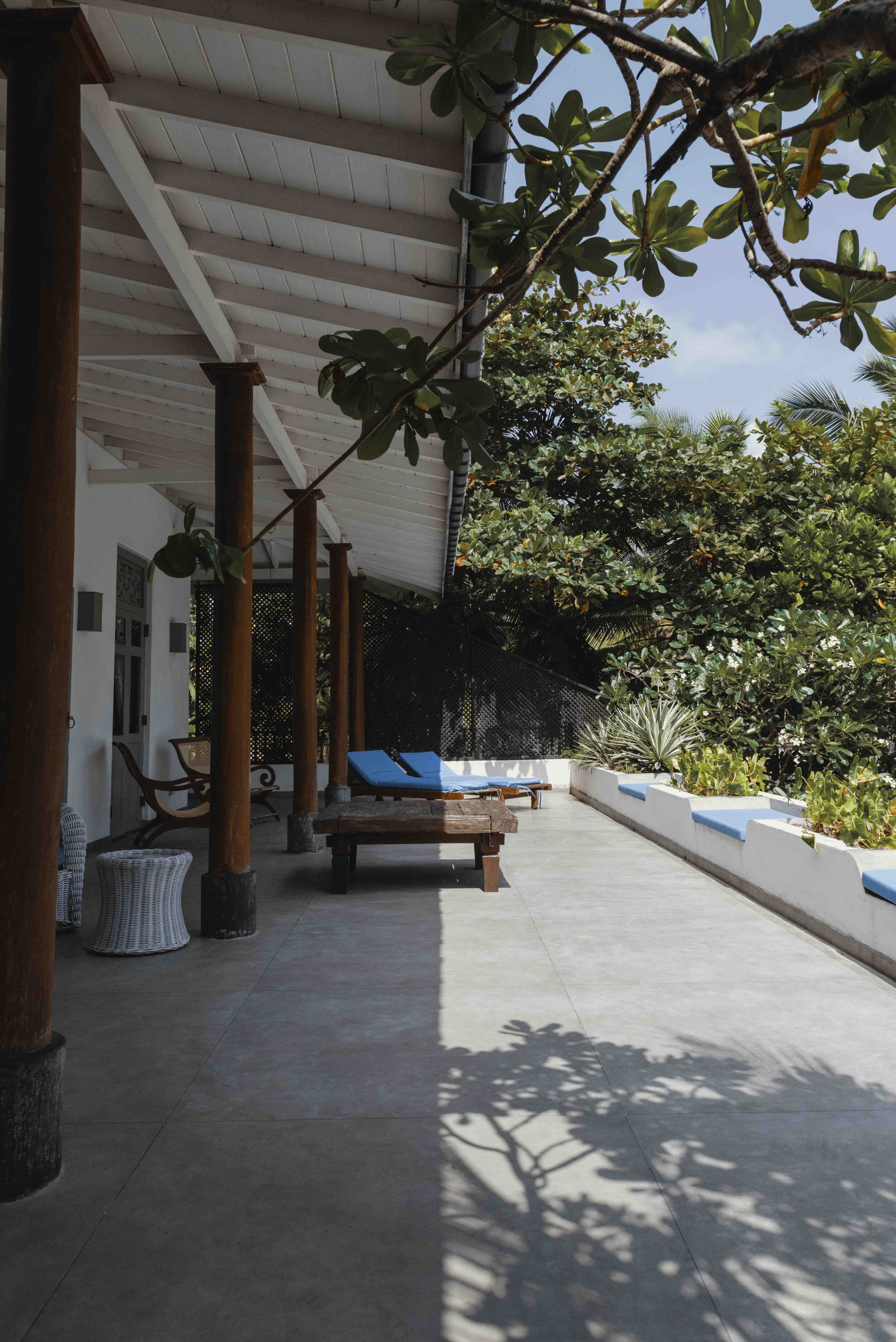 Bellini Blue — GOOD SPIRIT CO