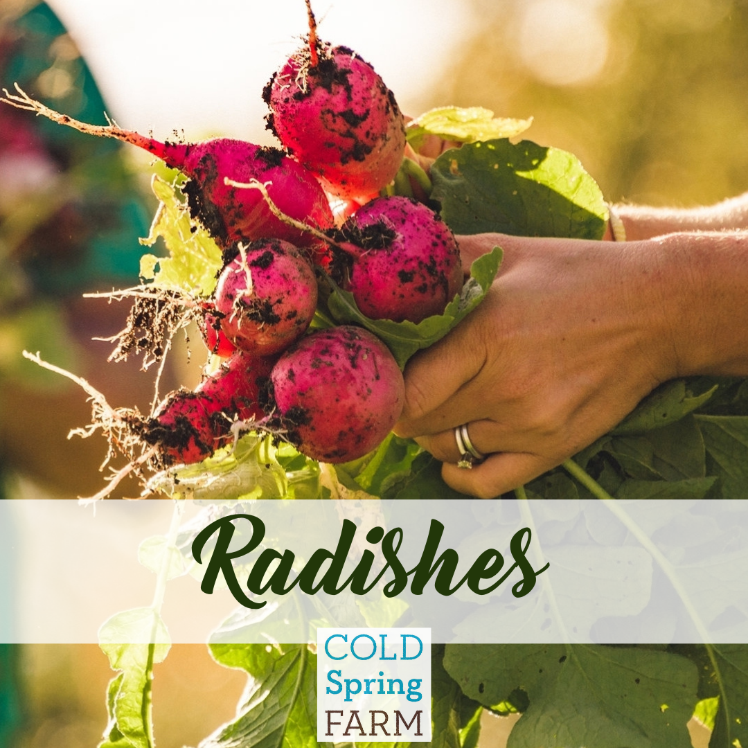 Cold Spring Farm Produce — Cold Spring Farm