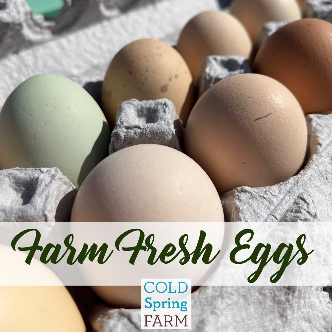 Eggs, Milk & Cheese at Cold Spring Farm — Cold Spring Farm