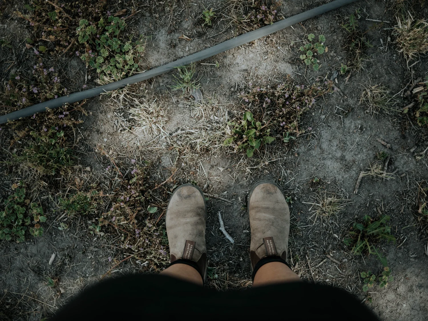 All The Ugly Parts of My Garden - GATHER & GROW