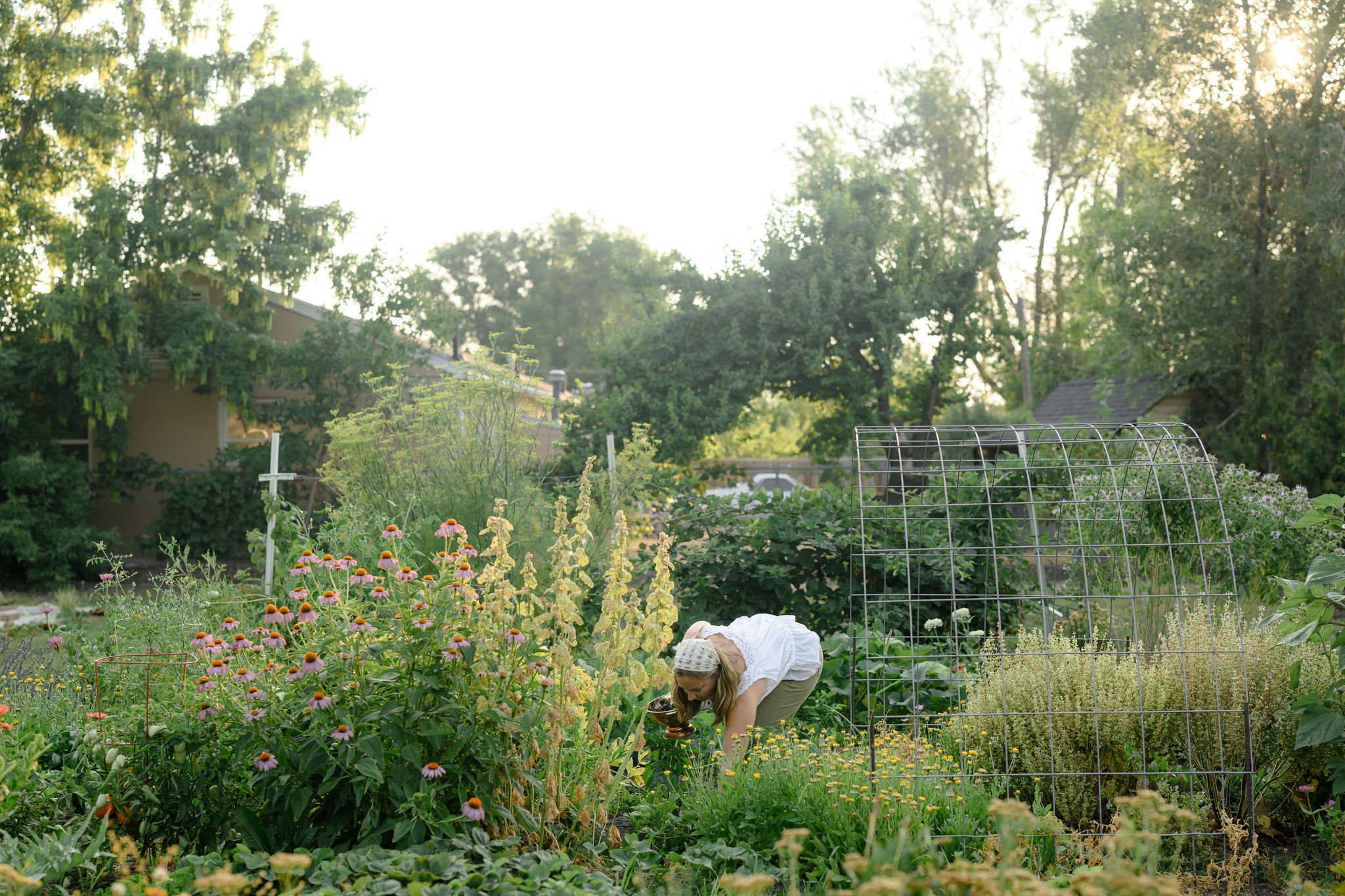 Rooted Rhythms Spring Summer 2025 - GATHER & GROW