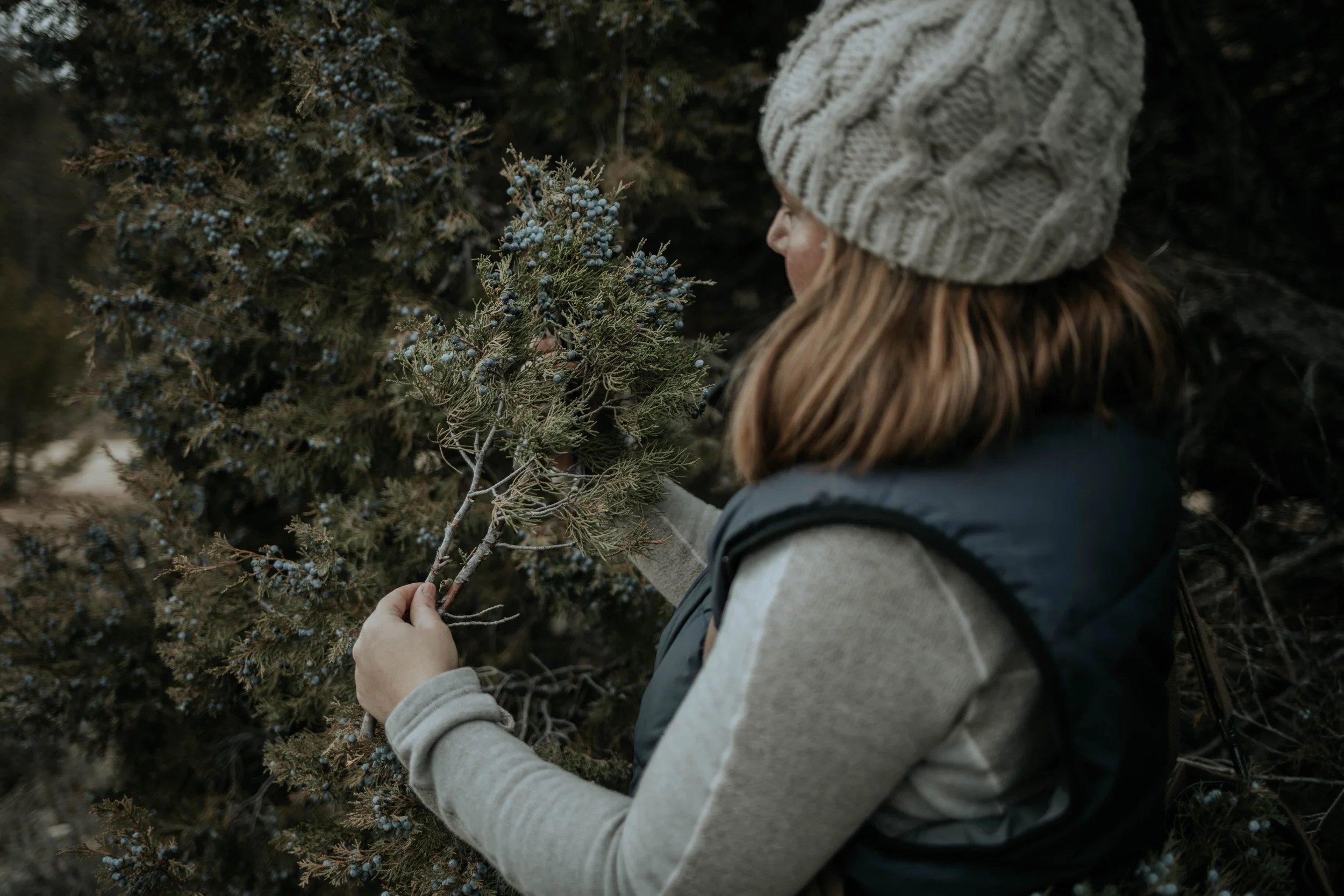 A Forager’s Checklist for Safe, Sustainable & Ethical Foraging - GATHER ...