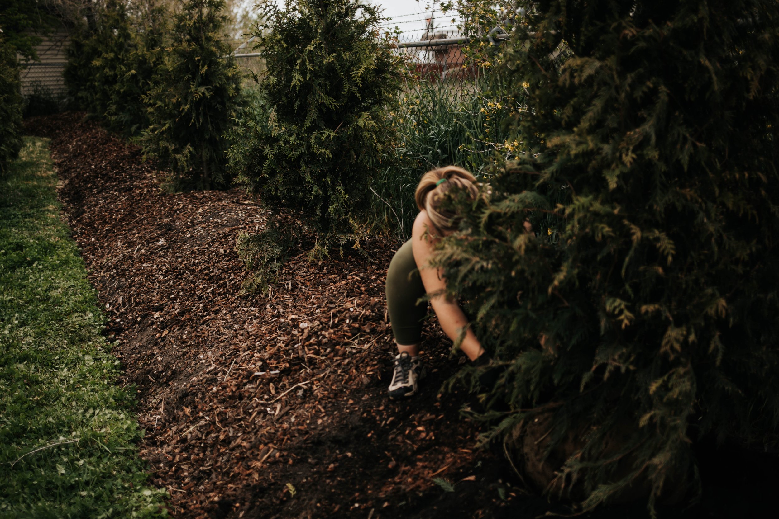 Planting our Hügelkultur Privacy Berm - GATHER & GROW