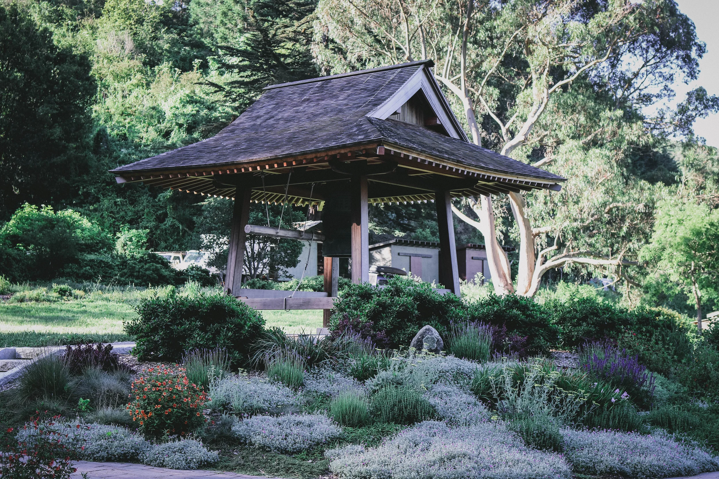 My Stay at a Zen Buddhist Monastery - GATHER & GROW